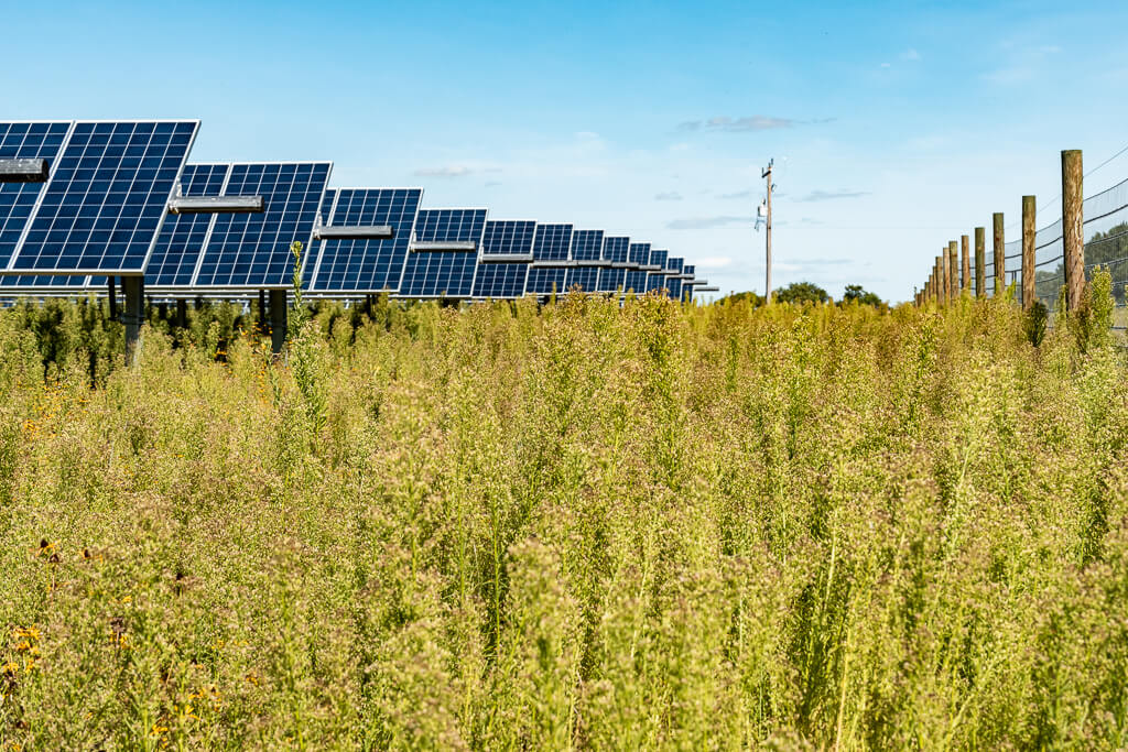 Wright Kirby 4 - Community Solar and Storage - US Solar