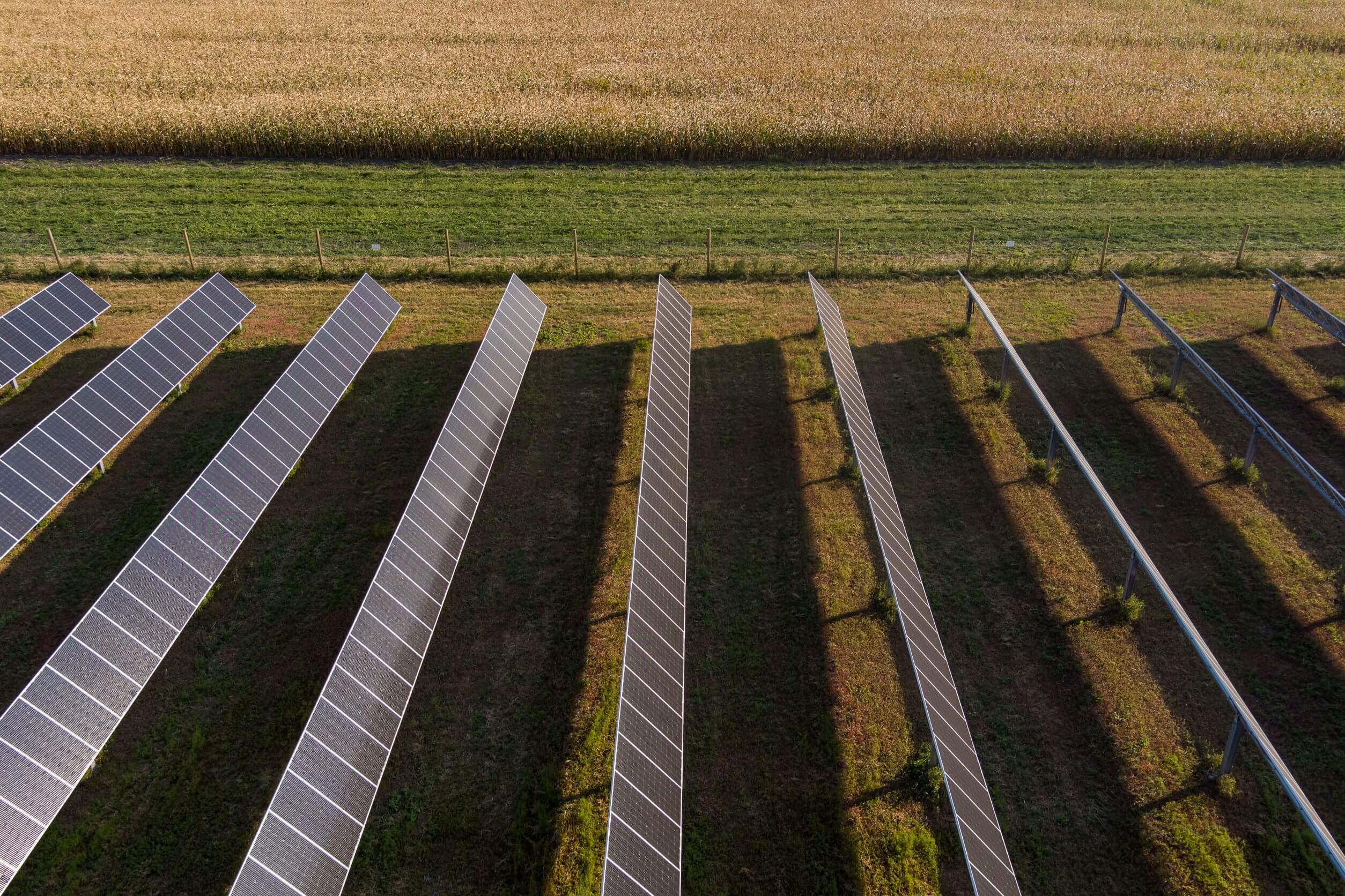 USS Horne South Solar LLC - Community Solar and Storage - US Solar