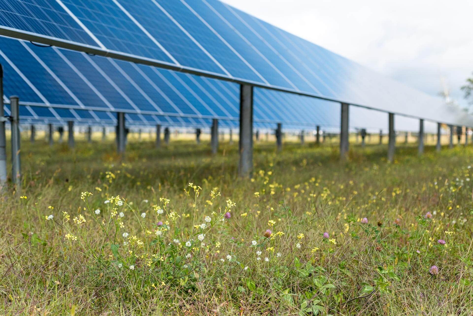 USS Good Solar LLC - Community Solar and Storage - US Solar