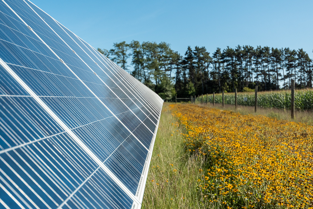 Swisher Renewable Energy Center - US Solar