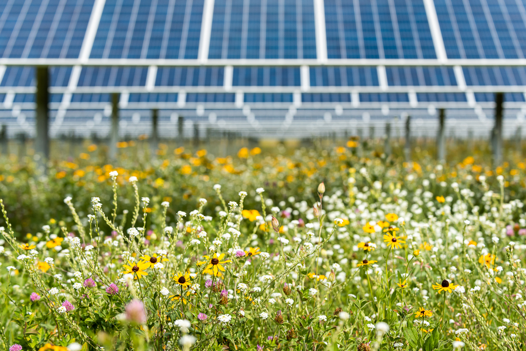 Goodson Renewable Energy Center - US Solar