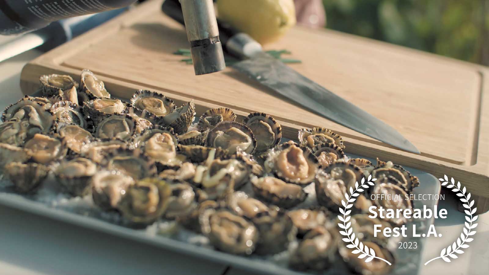 Wild Kitchen - Stareable Fest LA 2023 Official Selection | Stareable Blog
