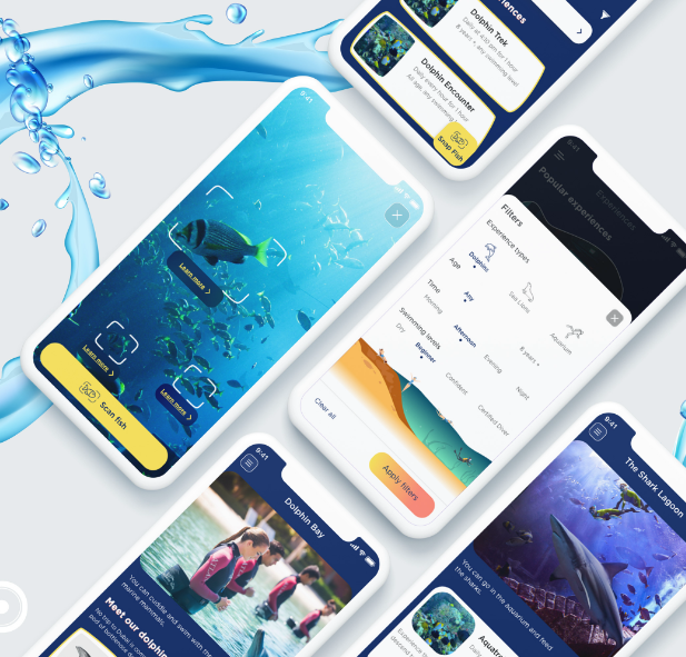 User Experience (UX) and Research Portfolio | Our Work | Digital of Things