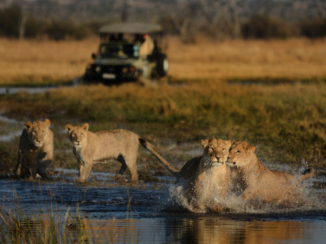 Savuti | Namibia Tours & Safaris