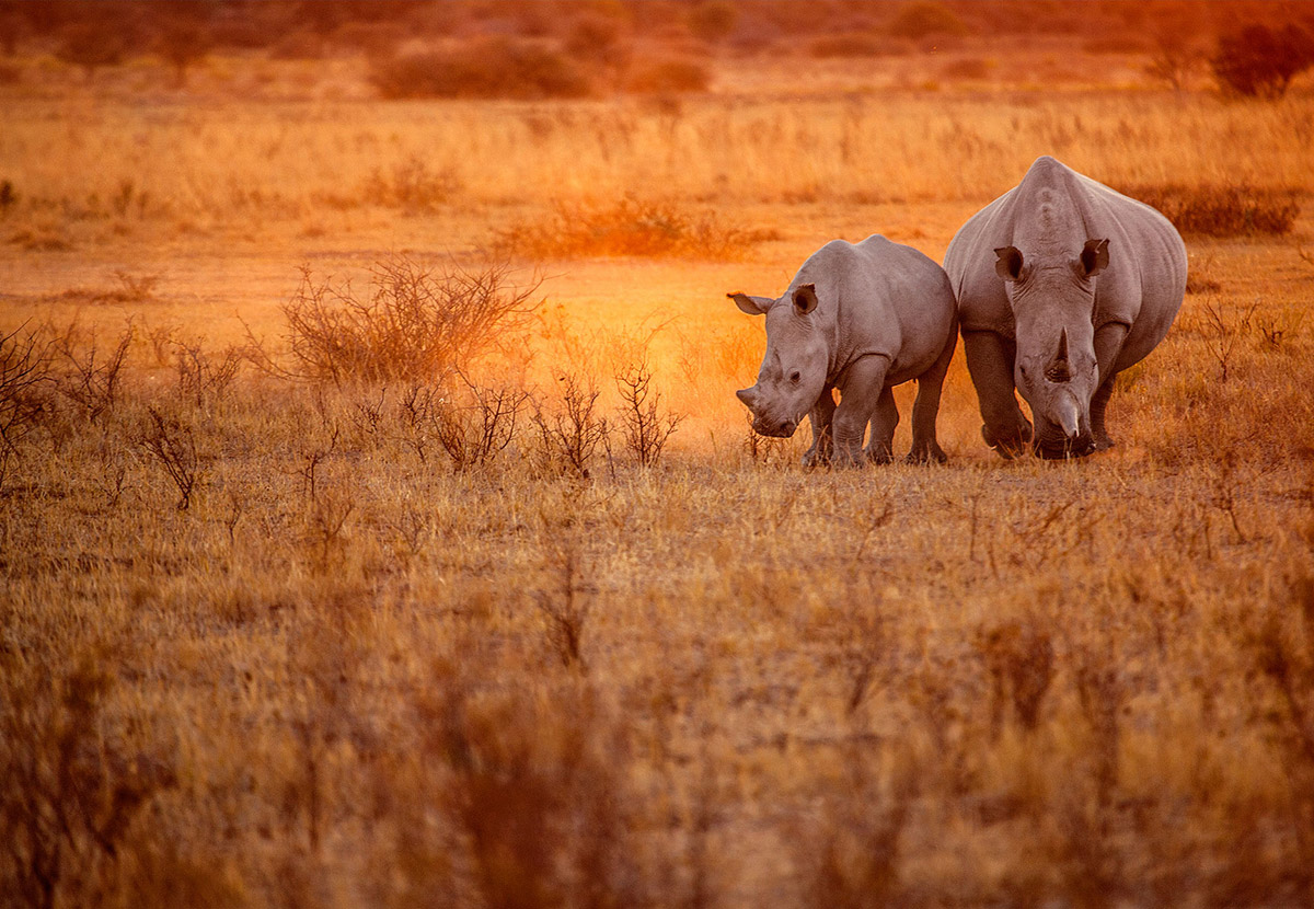 10 Best Places to Visit in Namibia | Namibia Tours & Safaris