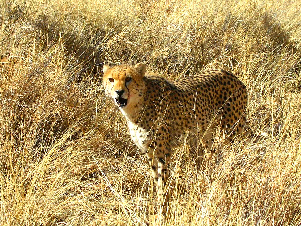 Central Namibia | Namibia Tours & Safaris