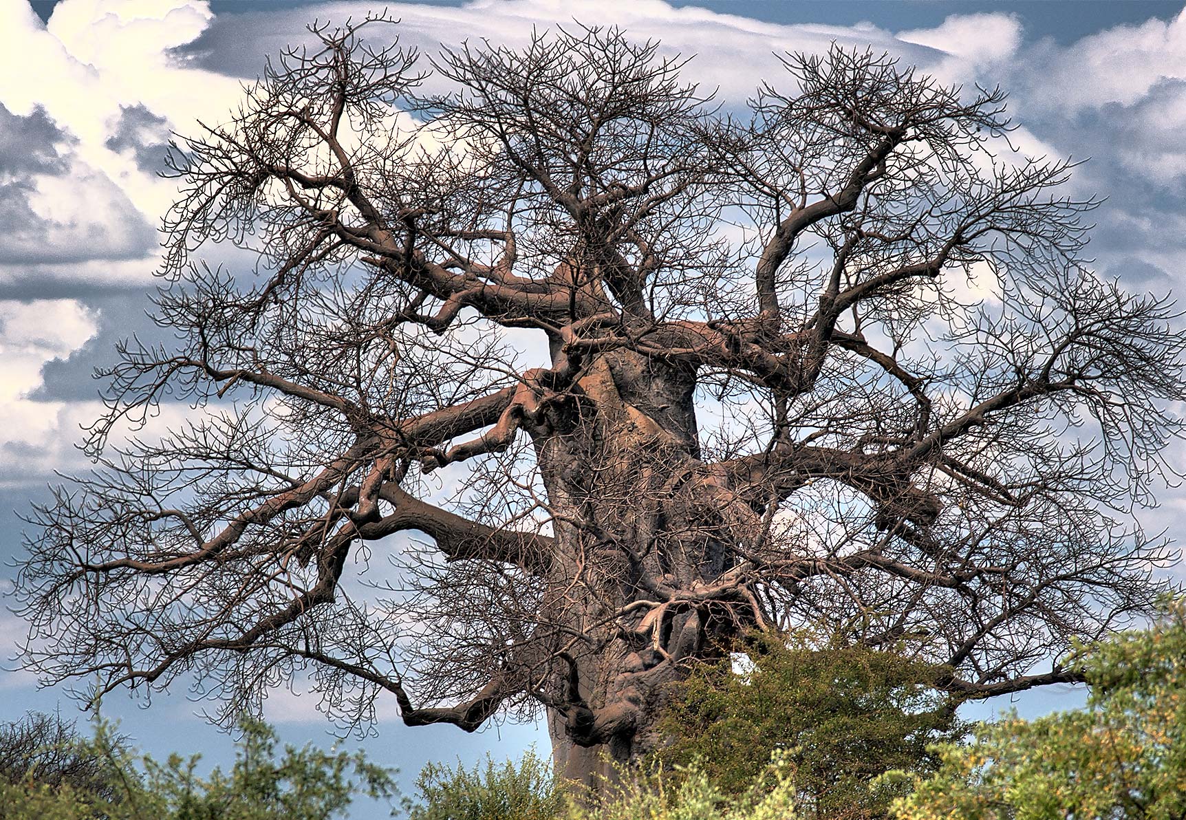 Bushmanland | Namibia Tours & Safaris