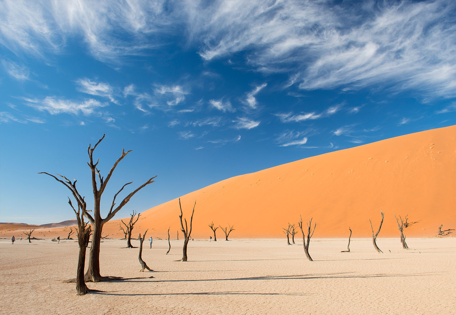 Best Time to Visit Namibia | Namibia Tours & Safaris