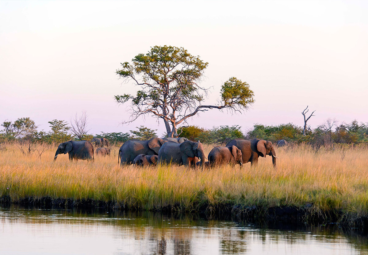 10 Best Places to Visit in Namibia | Namibia Tours & Safaris