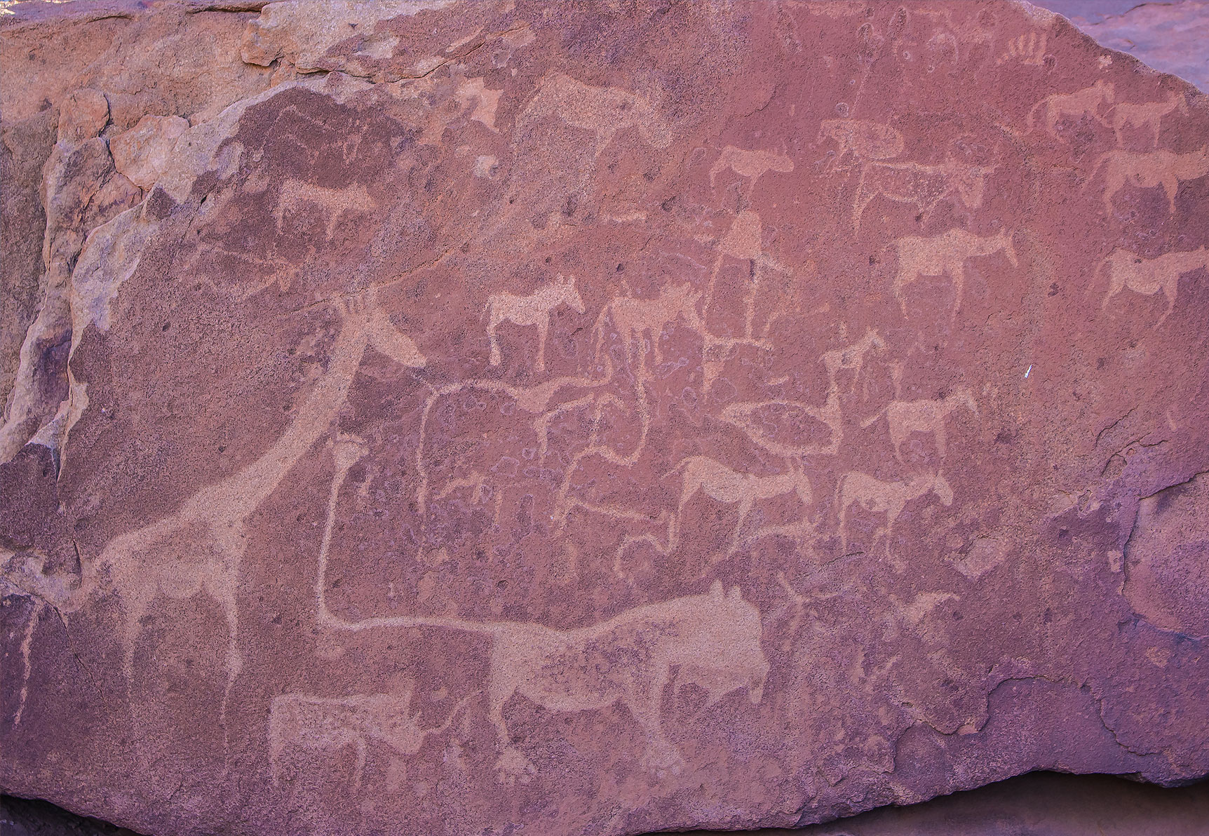 Damaraland | Namibia Tours & Safaris