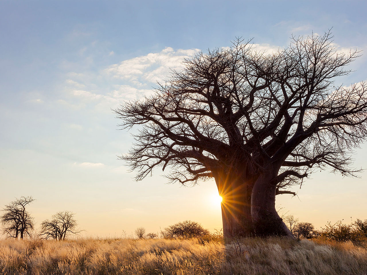 Eastern Botswana | Namibia Tours & Safaris