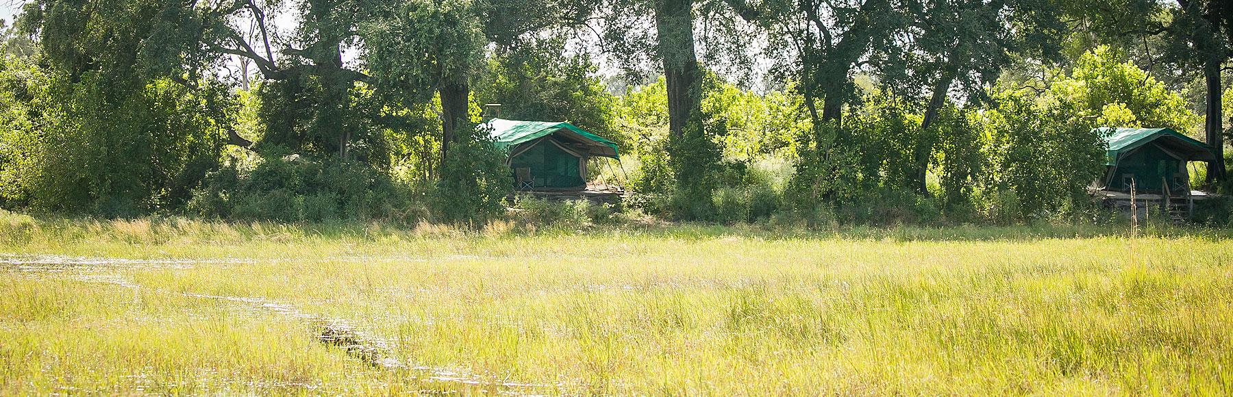 Bushman Plains Camp, Okavango Delta | Namibia Tours & Safaris