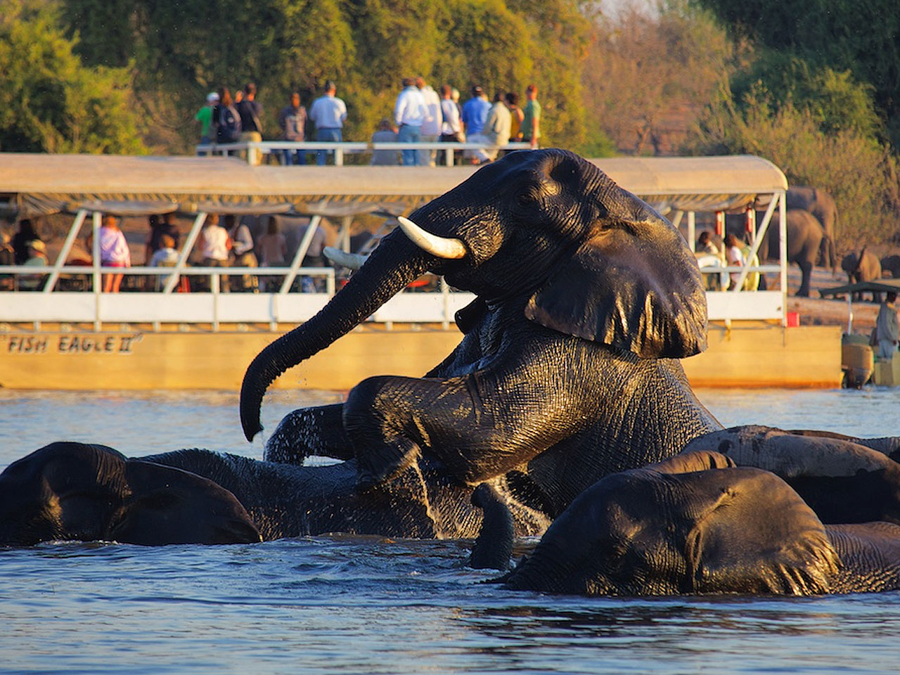 Chobe Safari Lodge Campsite, Chobe National Park | Namibia Tours & Safaris