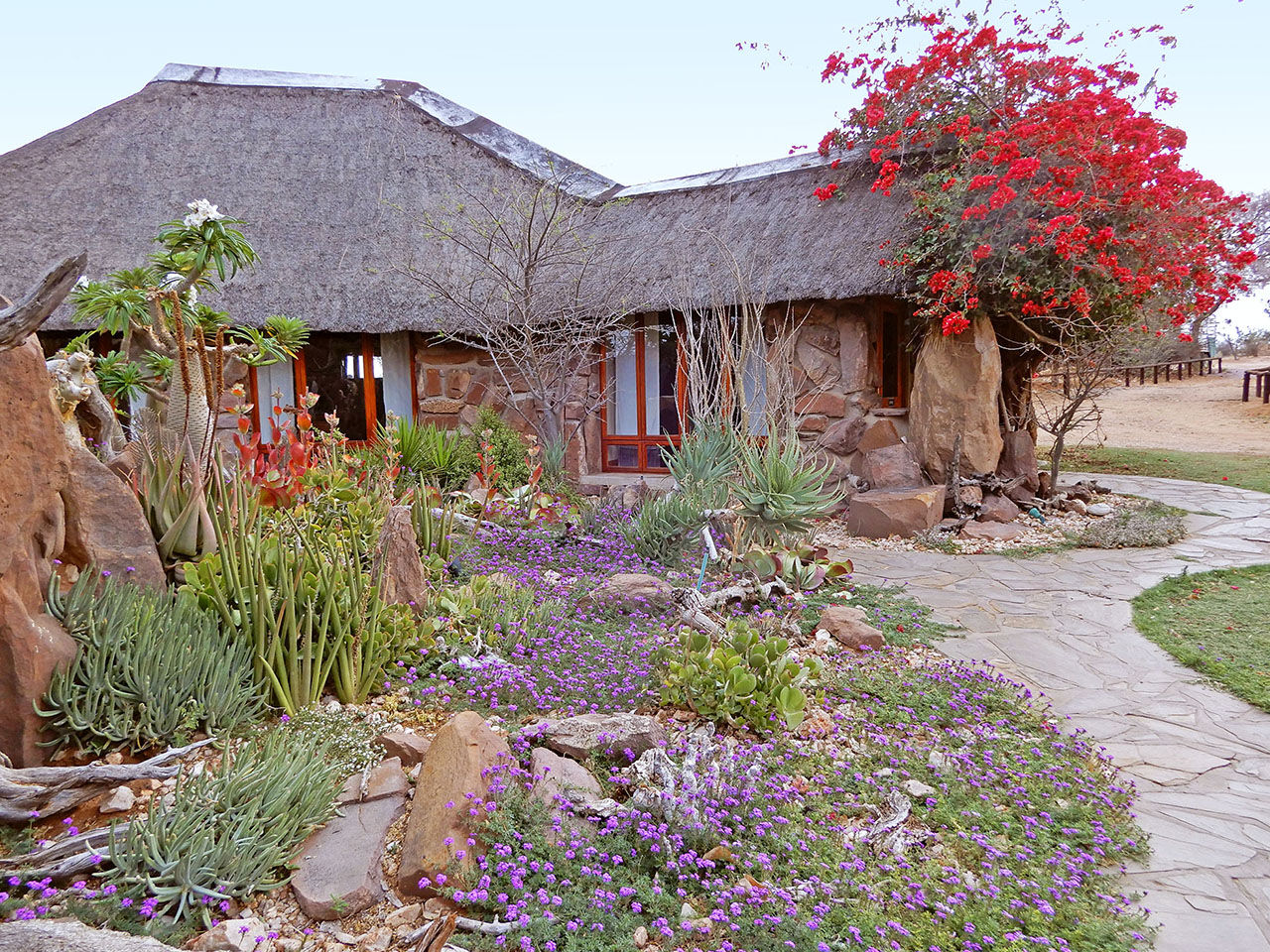 Kalahari Bush Breaks, Kalahari | Namibia Tours & Safaris