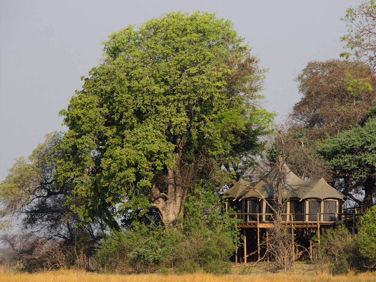 Nambwa Tented Lodge, Caprivi | Namibia Tours & Safaris