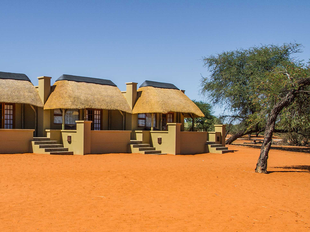 Zebra Kalahari Lodge, Kalahari | Namibia Tours & Safaris