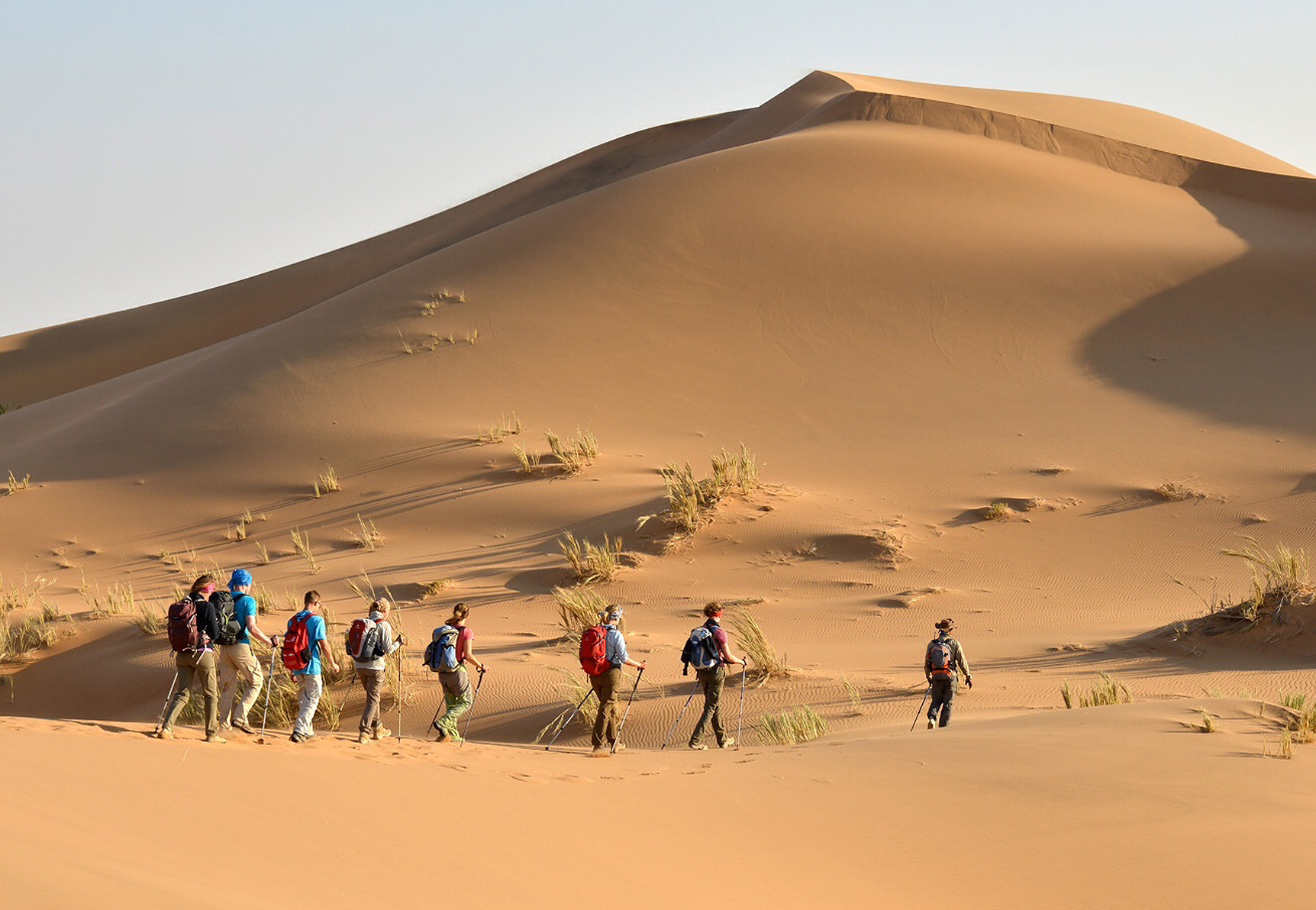 Nico Visser | Namibia Tours & Safaris