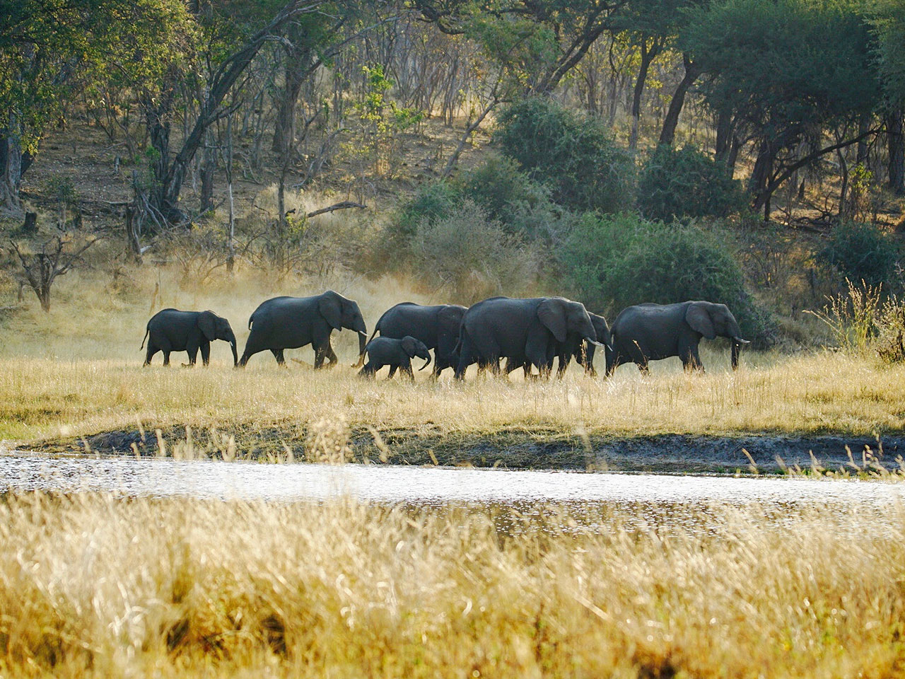 Bwabwata National Park | Namibia Tours & Safaris