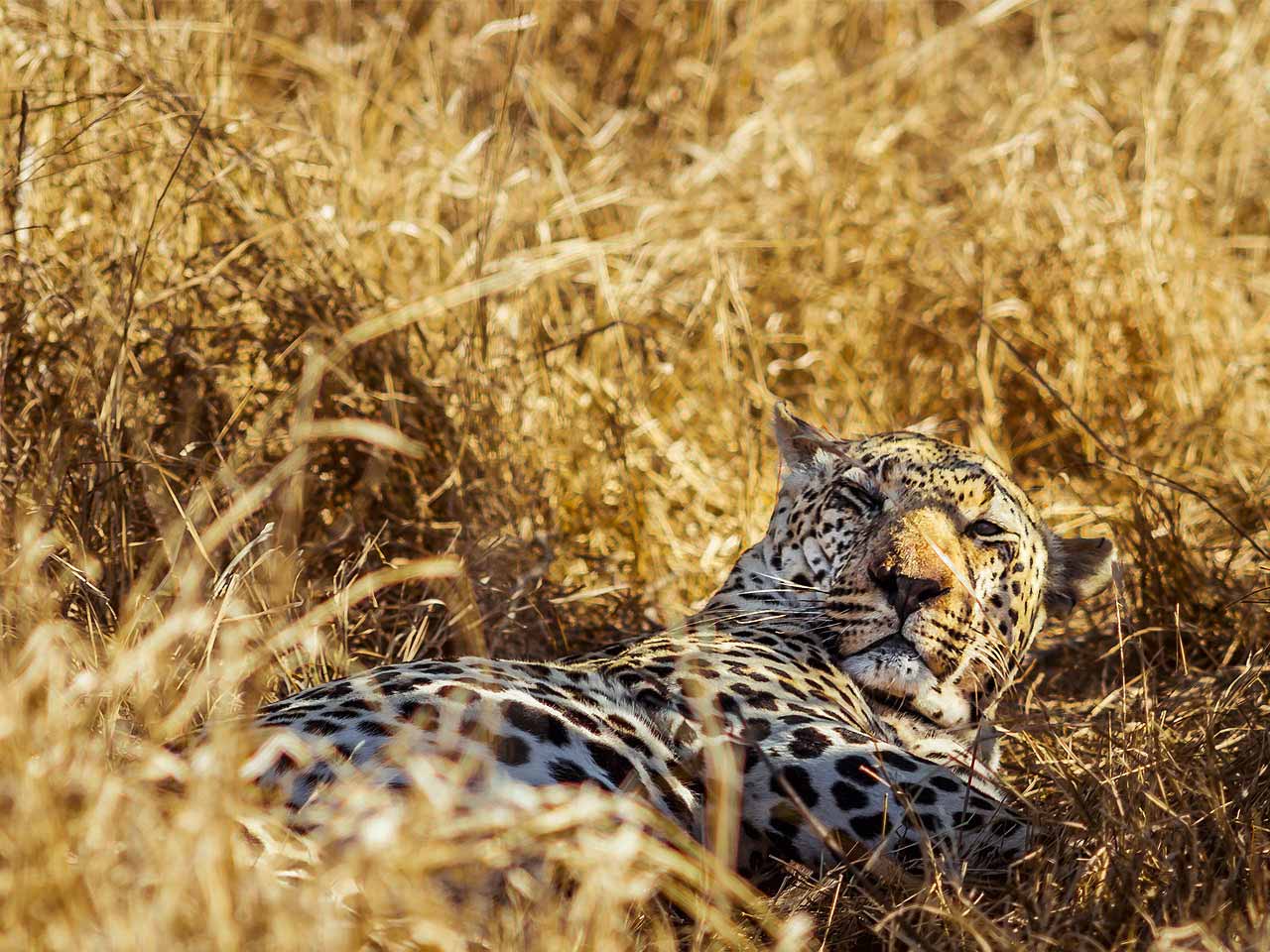 Kruger National Park | Namibia Tours & Safaris