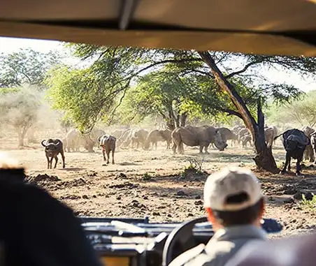 Best Time For... Game Viewing | Namibia Tours & Safaris