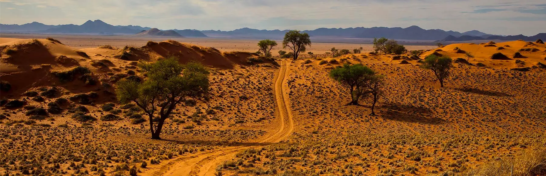 Namibia Highlights Group Safari | Namibia Tours & Safaris