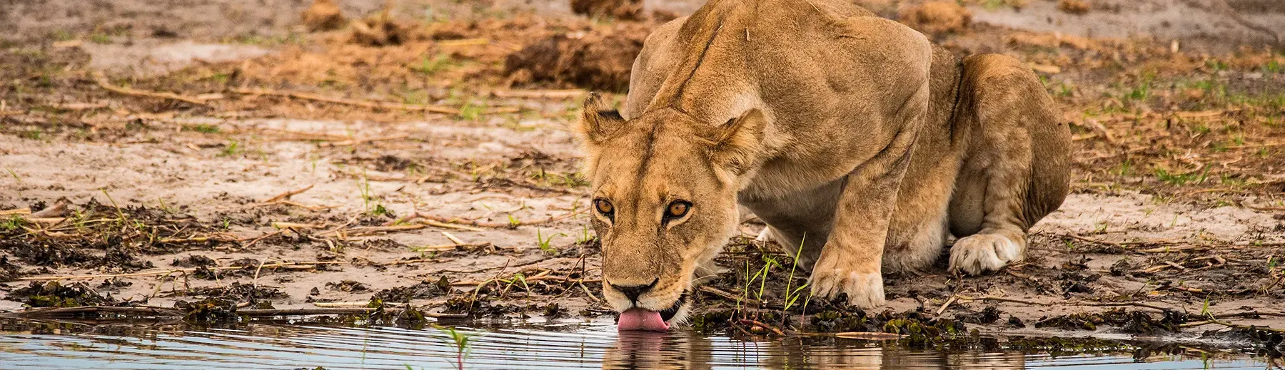 Savuti | Namibia Tours & Safaris