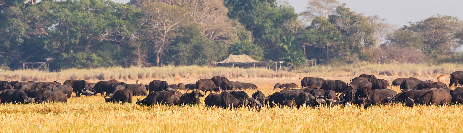 Kafue National Park | Namibia Tours & Safaris