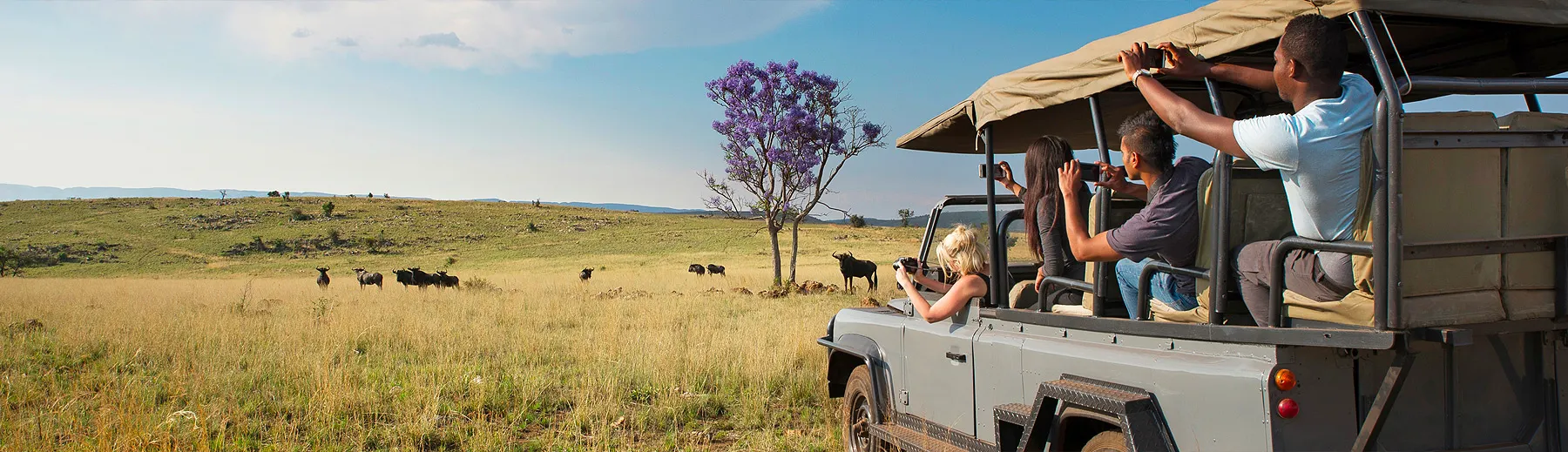 Garden Route Safari | Namibia Tours & Safaris