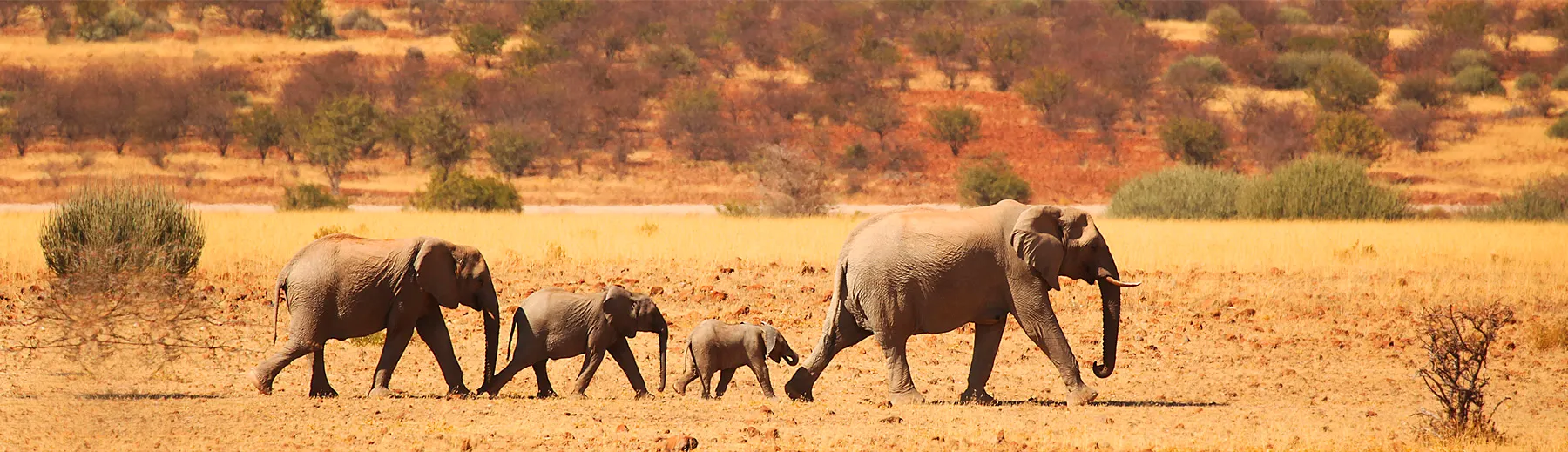 Kaokoland | Namibia Tours & Safaris