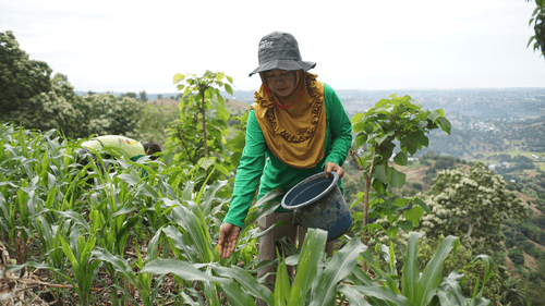 How is Technology Used To Increase Agricultural Yields