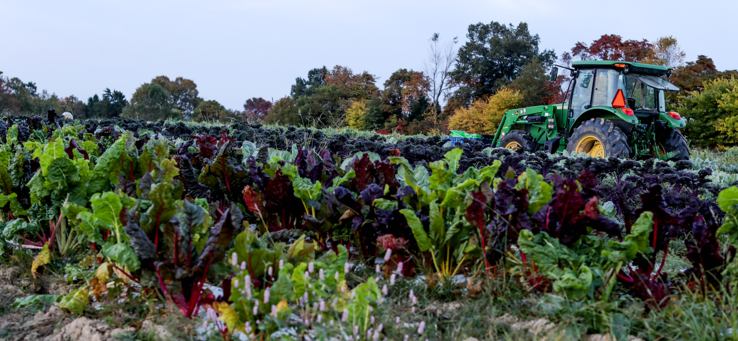 Frequently Asked Questions about Barr Farms