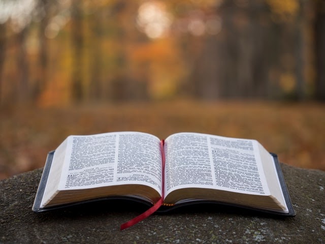 Bible chronological order | Pray.com