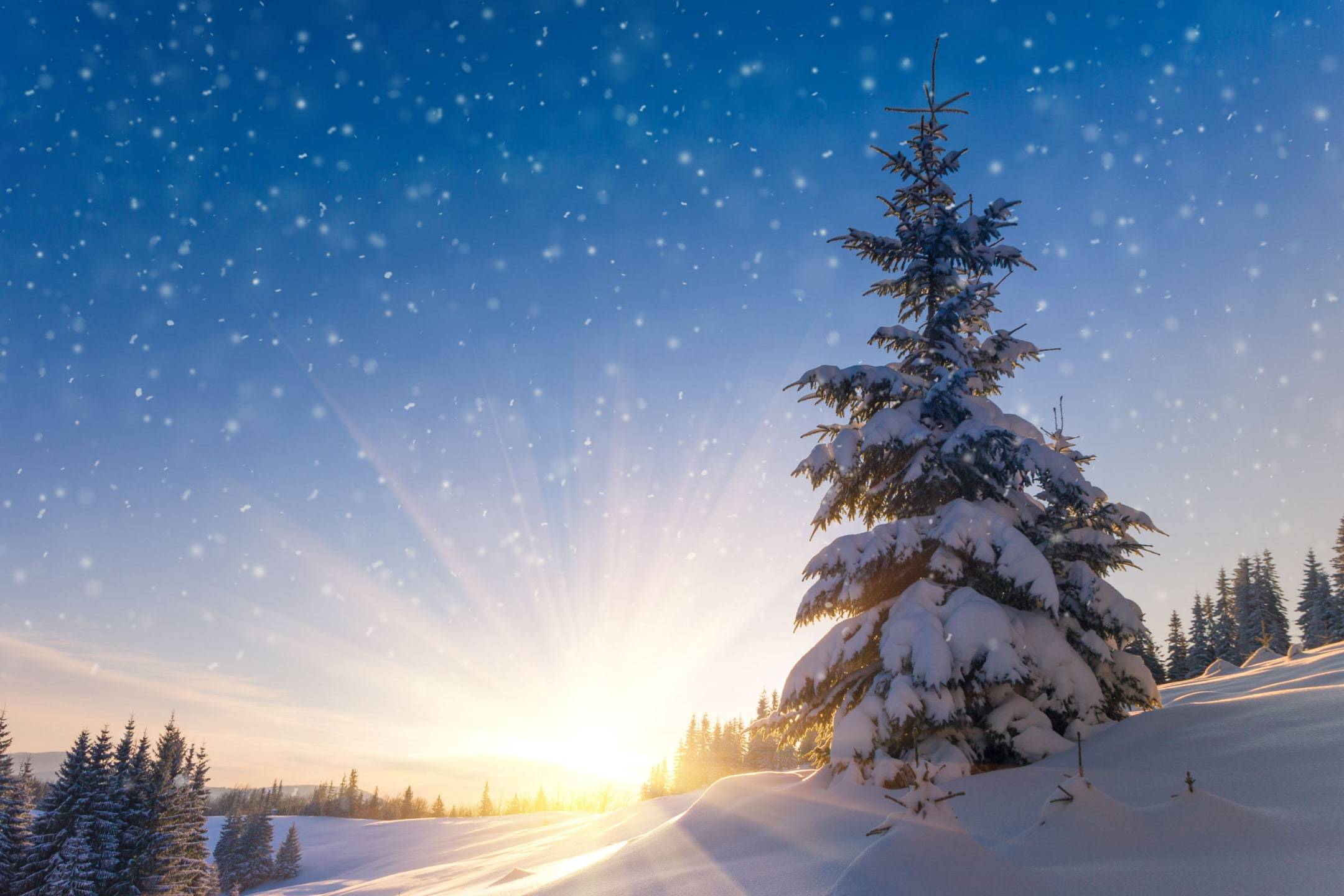 Weekly Wisdom: Our Dayspring | Pray.com