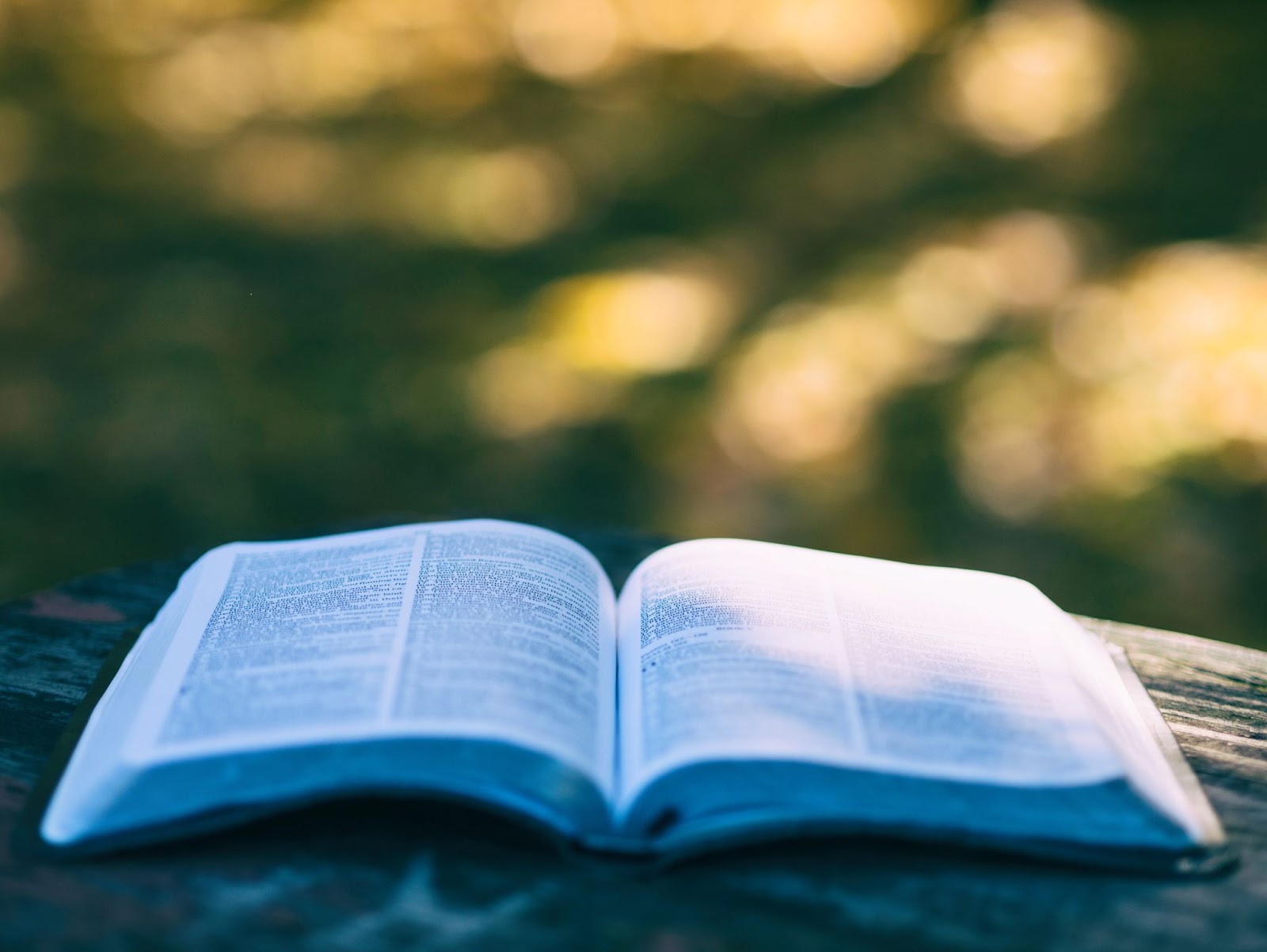 What Is The Meaning Of Samson In The Bible? | Pray.com