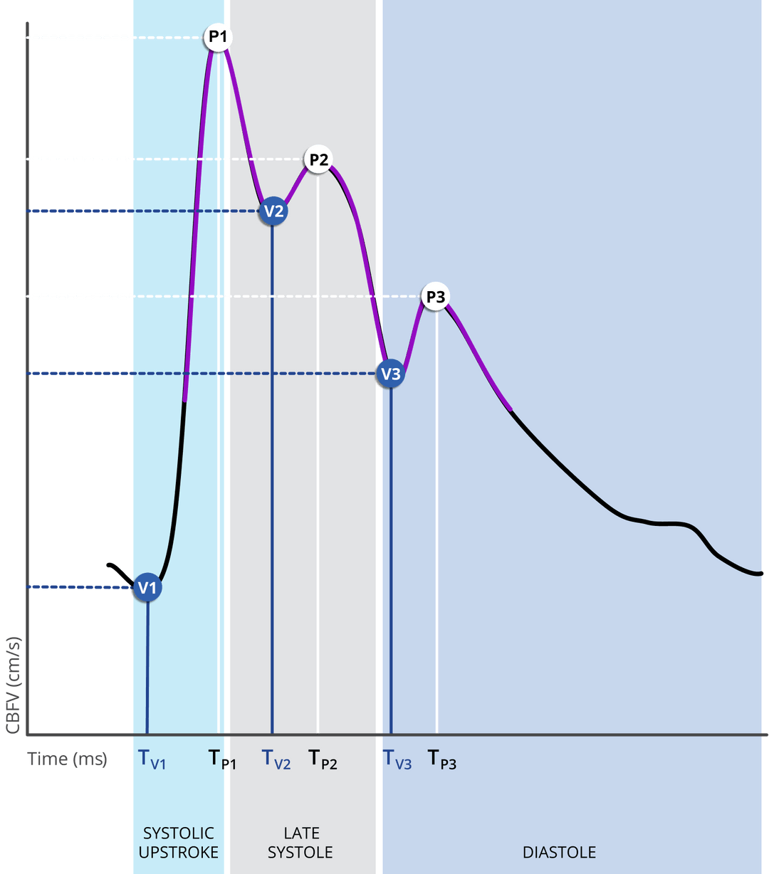 Morphology - NeuraSignal Platform