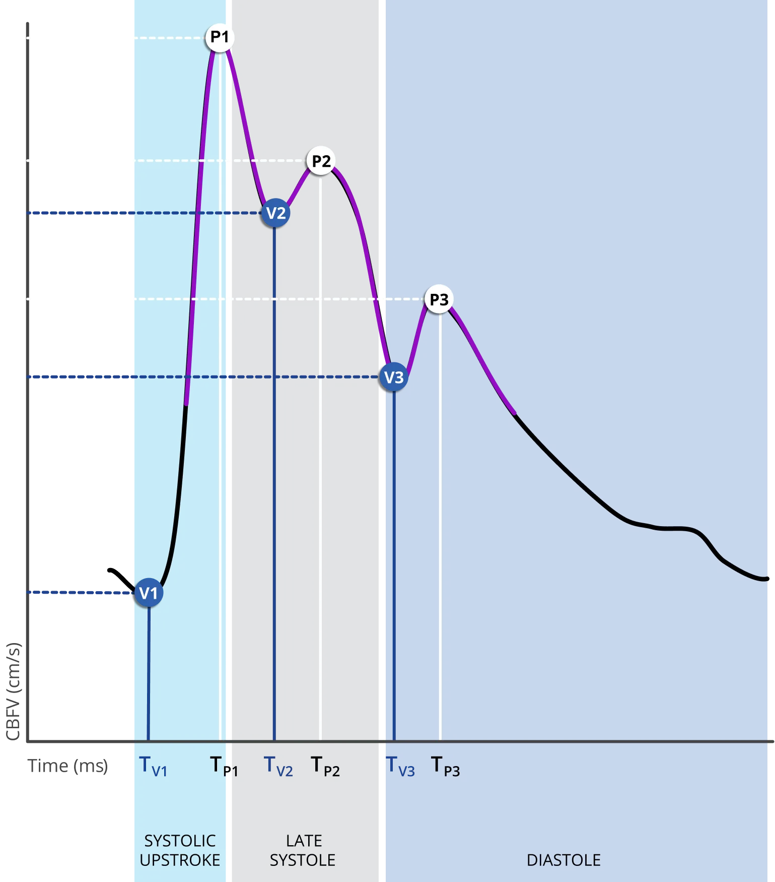 Morphology - NeuraSignal Platform