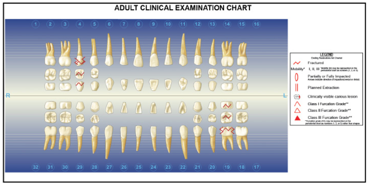 INBDE Demystified: What's Tested? | INBDE Bootcamp