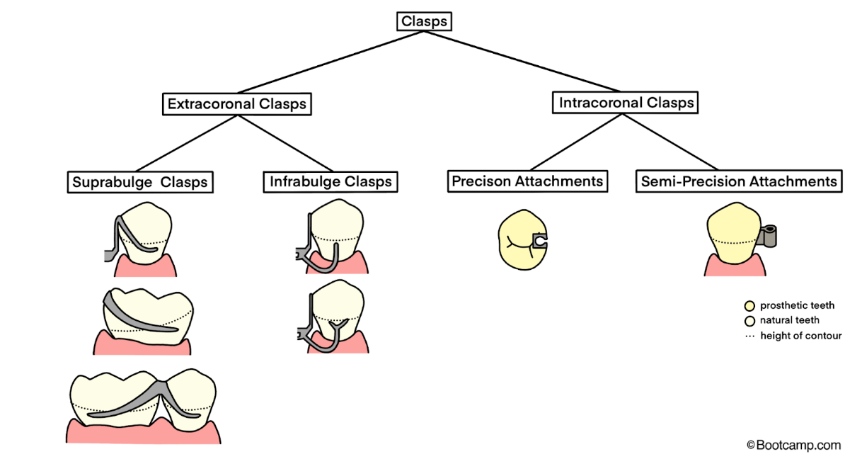 How to Apply and Prepare for the INBDE | INBDE Bootcamp