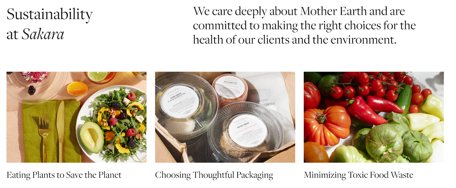 24 Best Food & Snacks eCommerce Website Examples (2024)