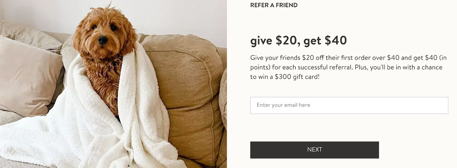 62 Best eCommerce Loyalty & Rewards Program Examples (2023)