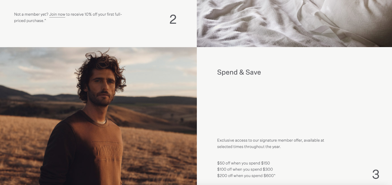 62 Best eCommerce Loyalty & Rewards Program Examples (2023)
