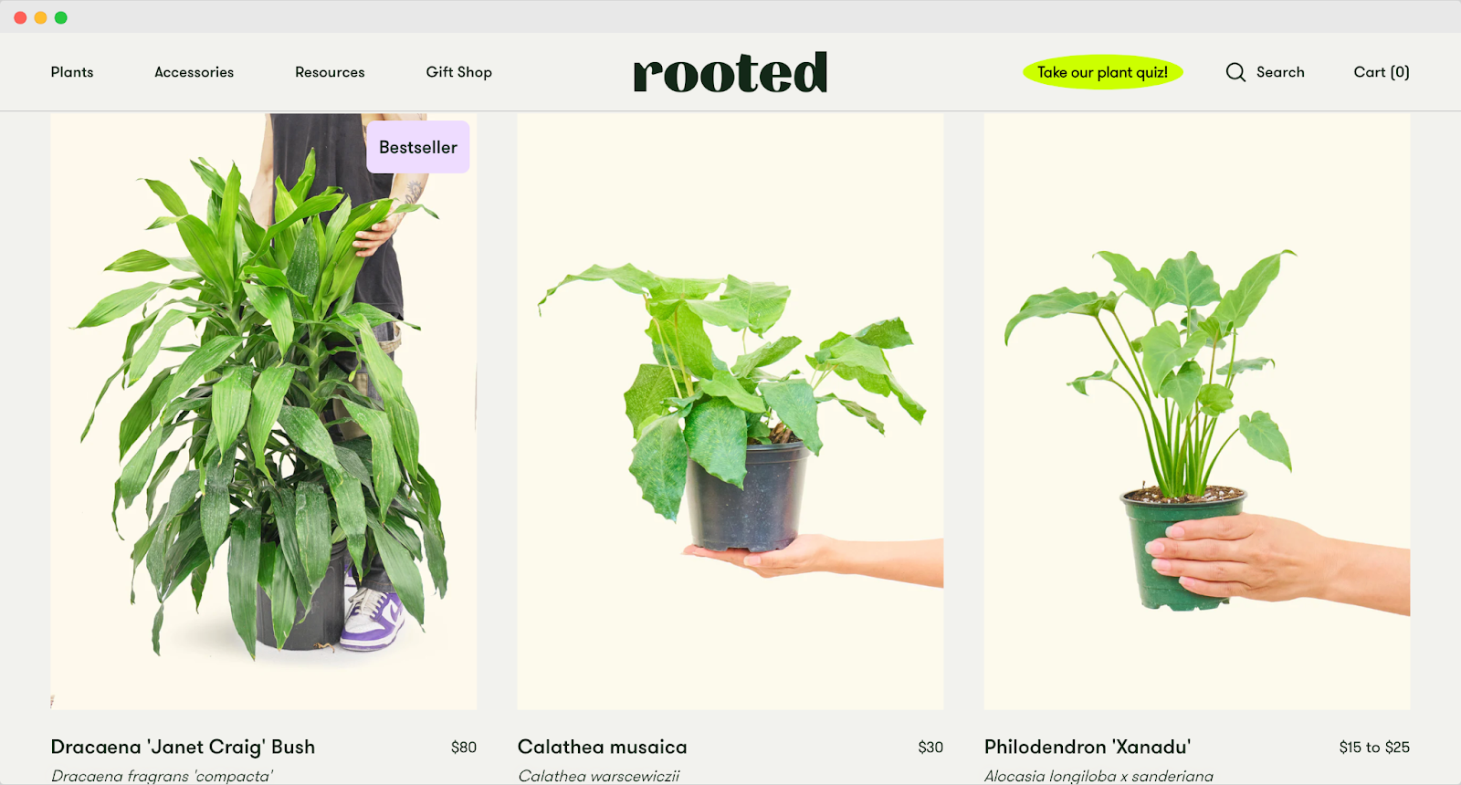 41 Best eCommerce & Shopify Collection Page Examples (2024)