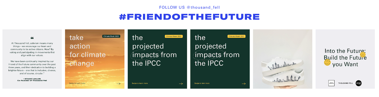 41 Best eCommerce & Shopify Collection Page Examples (2024)