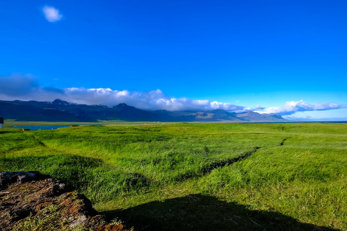 The Process of Selling Land in Colorado