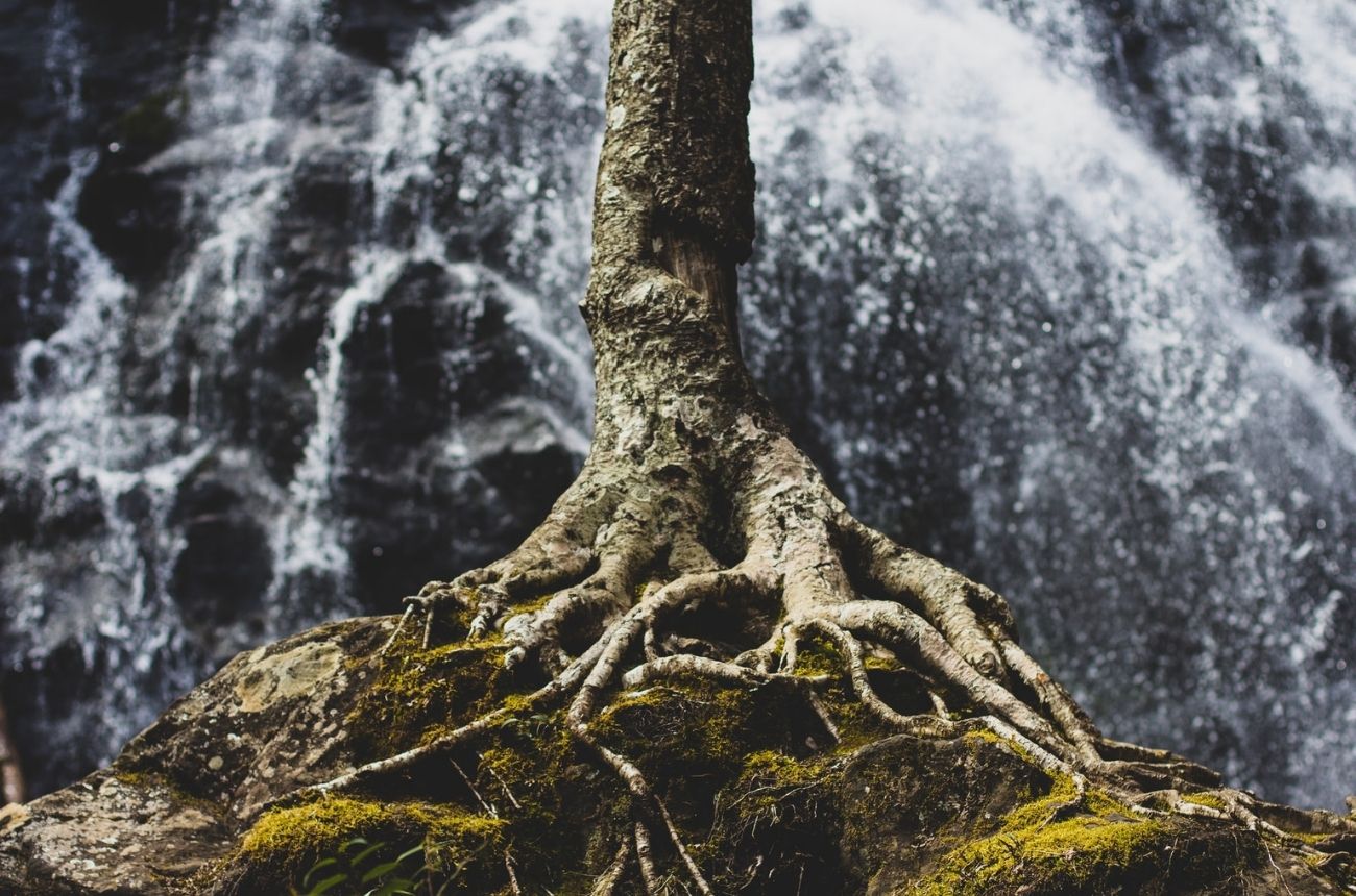 How to improve test robustness? | Agilitest blog