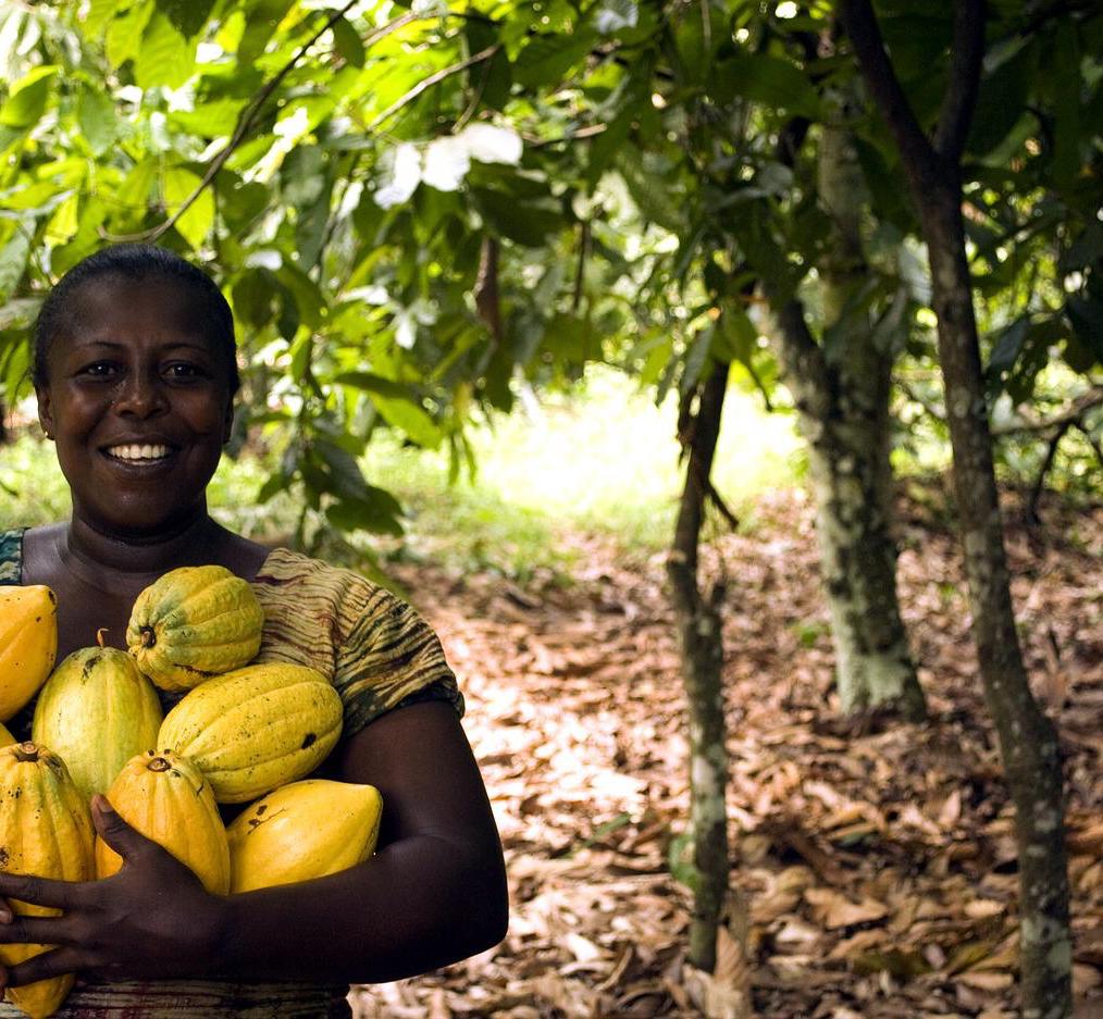 Digital Solution for Women Smallholder Farmers in Ghana: The ...