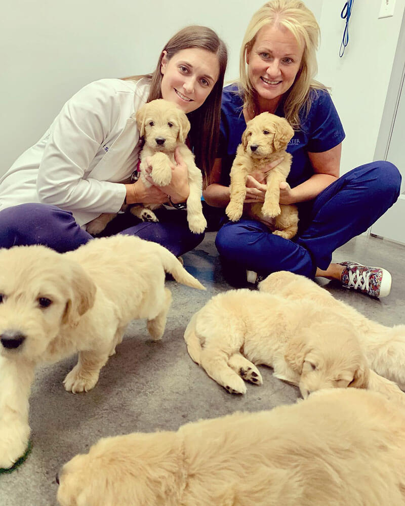 Sweetwater Veterinary Hospital