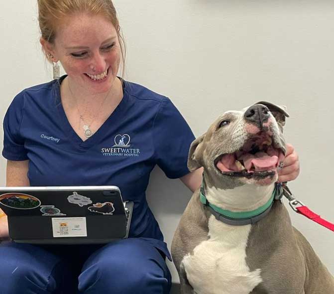 Sweetwater Veterinary Hospital