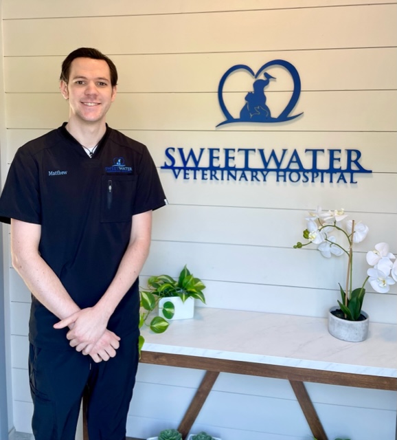 Meet Our Team | Drs. Powell, Stephenson, Gladfelter, and Schiavone