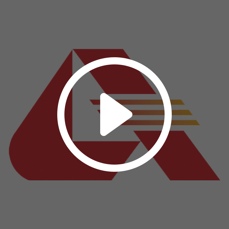 ALT ENTERPRISES